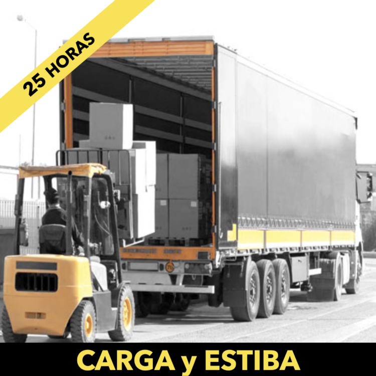 CARNET CARGA y ESTIBA – Academia de Formación Fór-mate